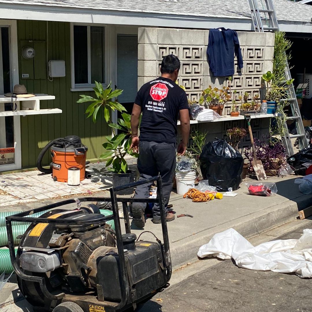 Rodents Stop | Los Angeles & Southern CA Rodent Control Service